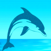 Meditation - Dolphins and Whales featuring Classical Music - Ashby ...