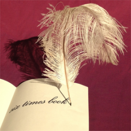 Six Times Book - Luca Bartl - My Healthy App